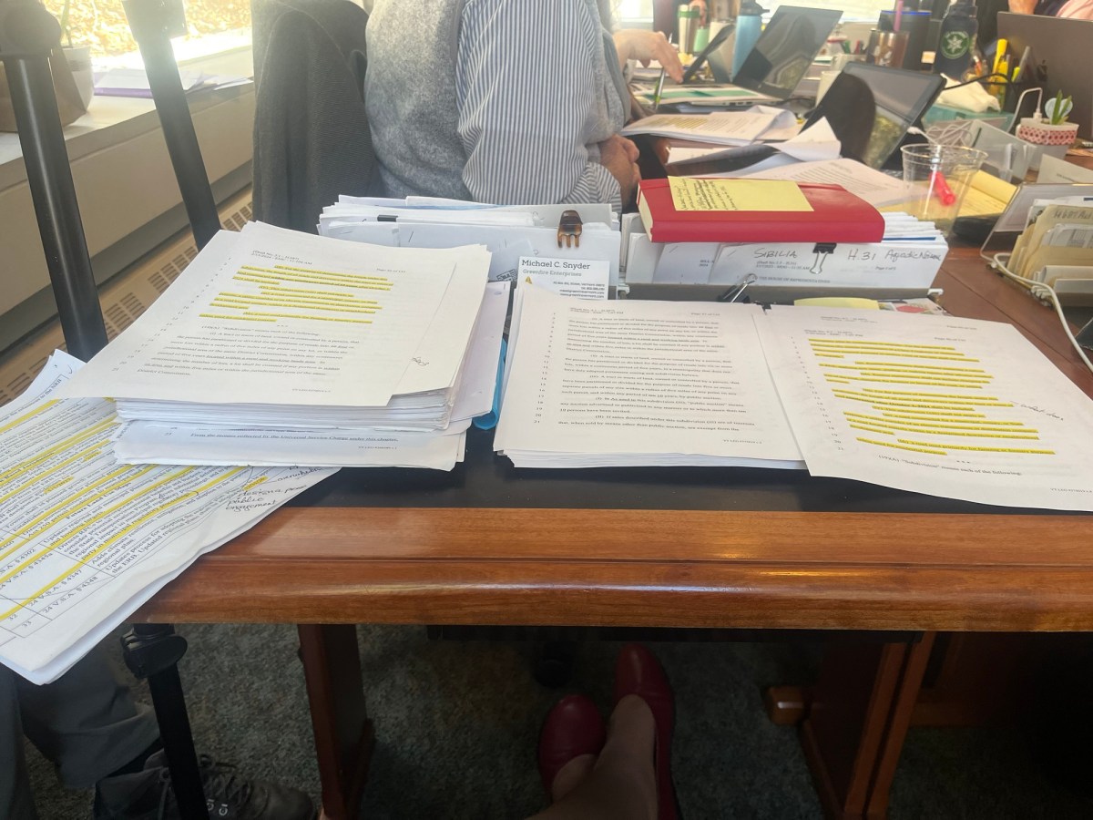 Rep. Laura Sibilia: Week 7 & 8 of the 2024 Legislative Session ...